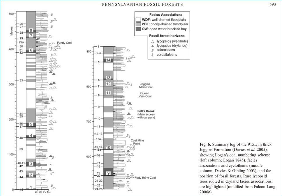 Polystrate Trees and Deep Time - jesusinhistoryandscience