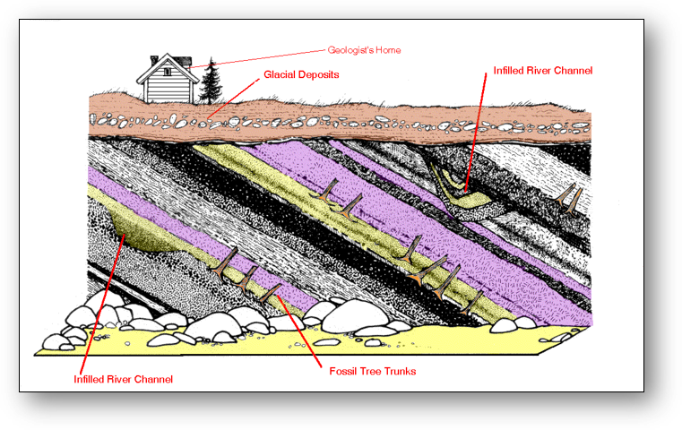 Polystrate Trees and Deep Time - jesusinhistoryandscience